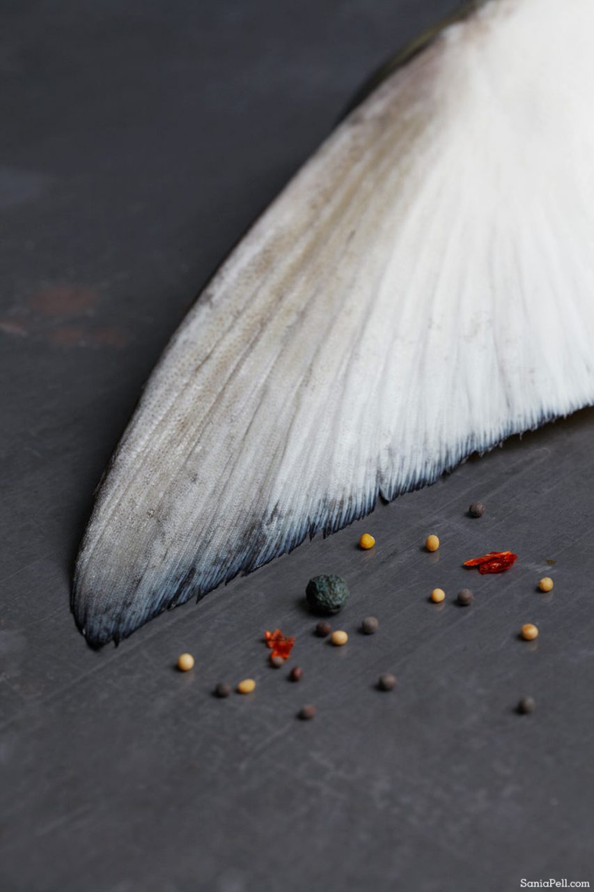 food styling Archives - Sania Pell - Freelance Interior Stylist ...